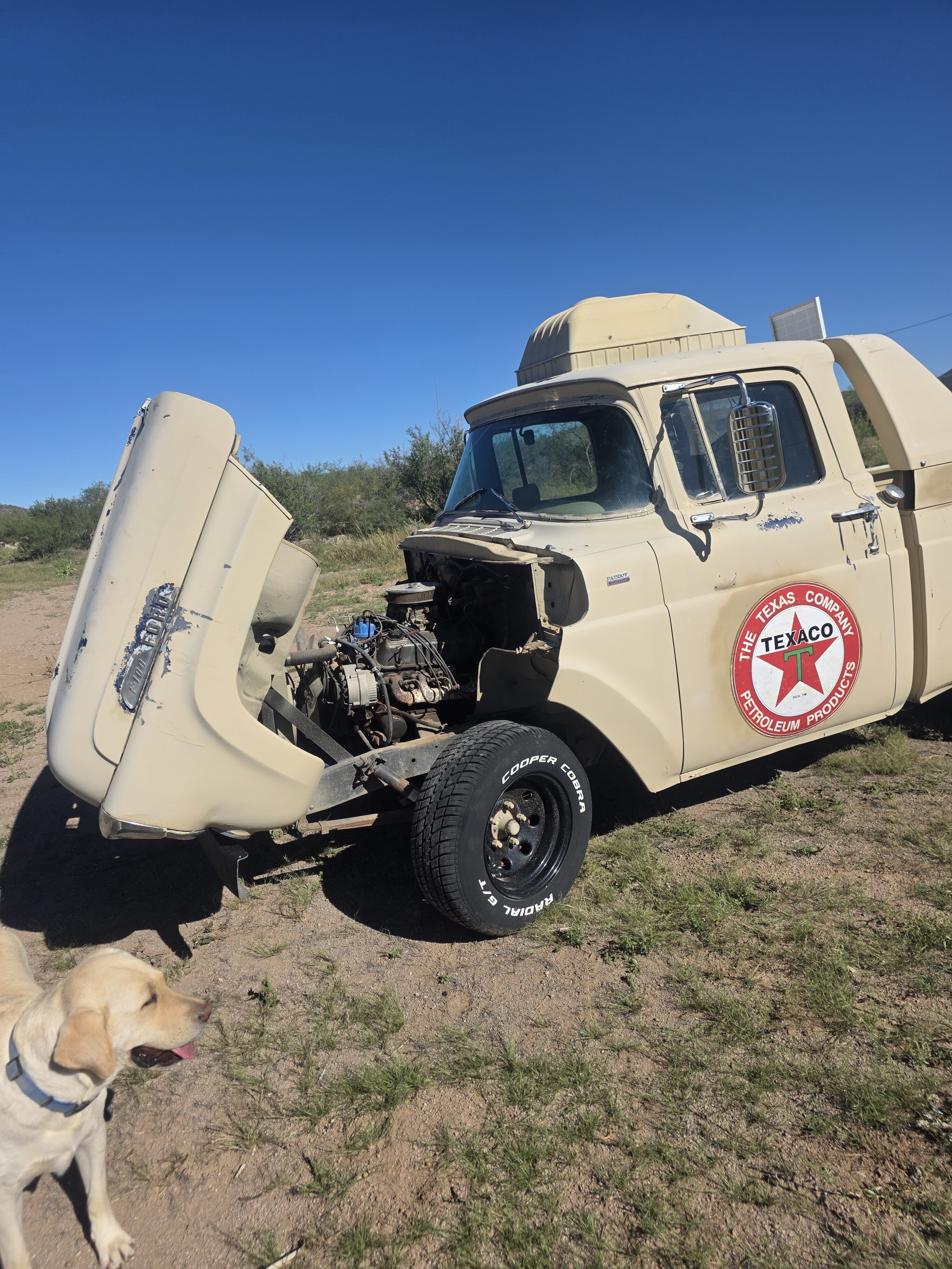 1957 Ford F100 Hot Rods and Custom Cars for Sale - Classics on Autotrader