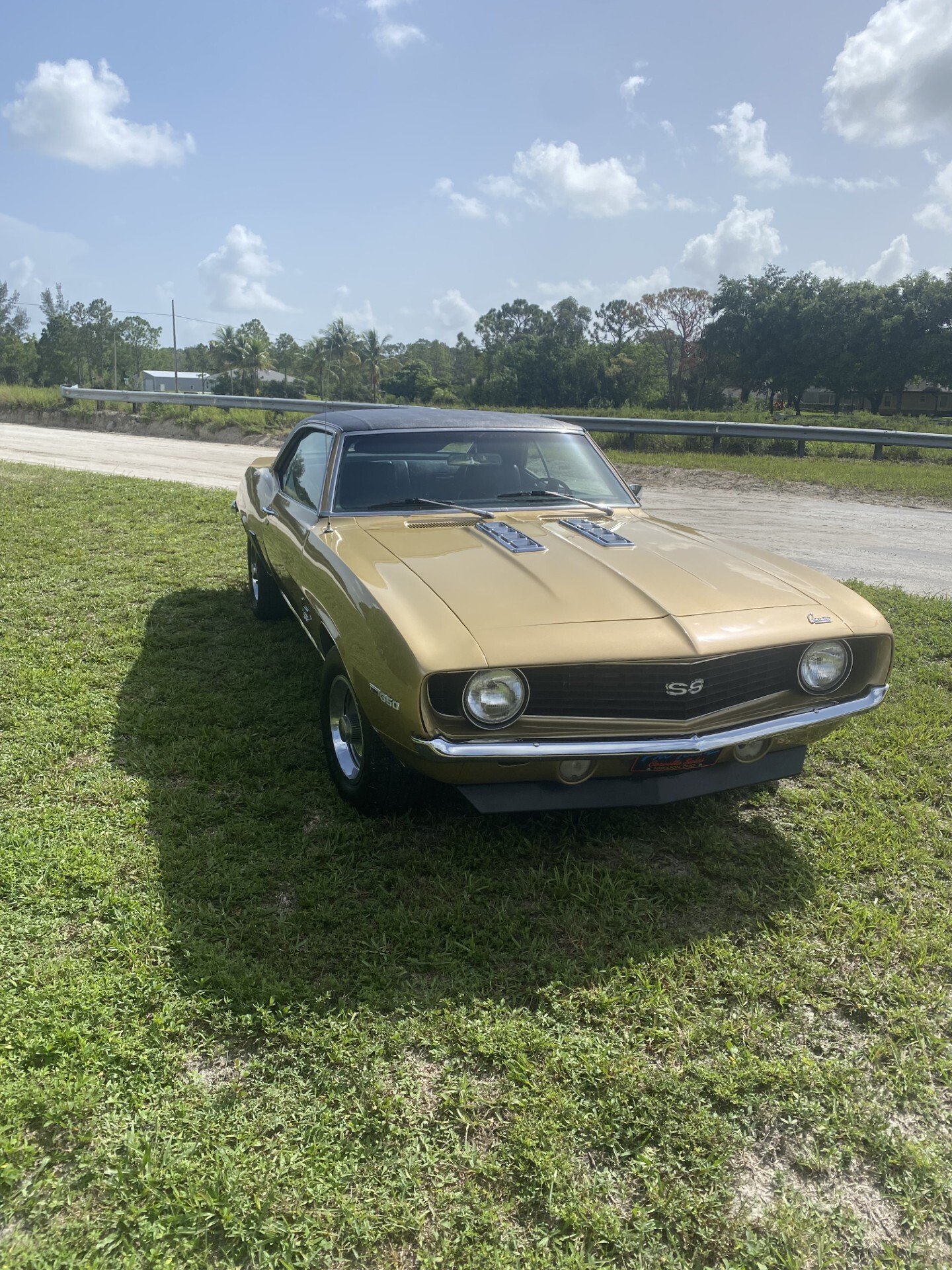 1969 Chevrolet Camaro SS Coupe Muscle Cars and Pony Cars for Sale ...