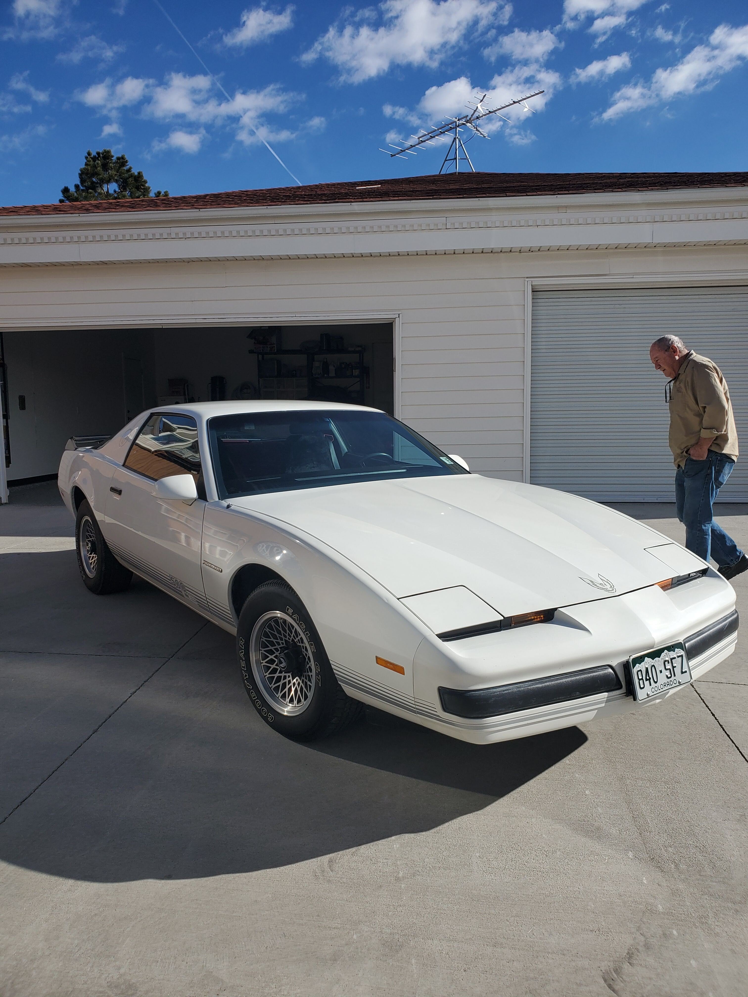 1985 Pontiac Firebird Classic Cars for Sale - Classics on Autotrader