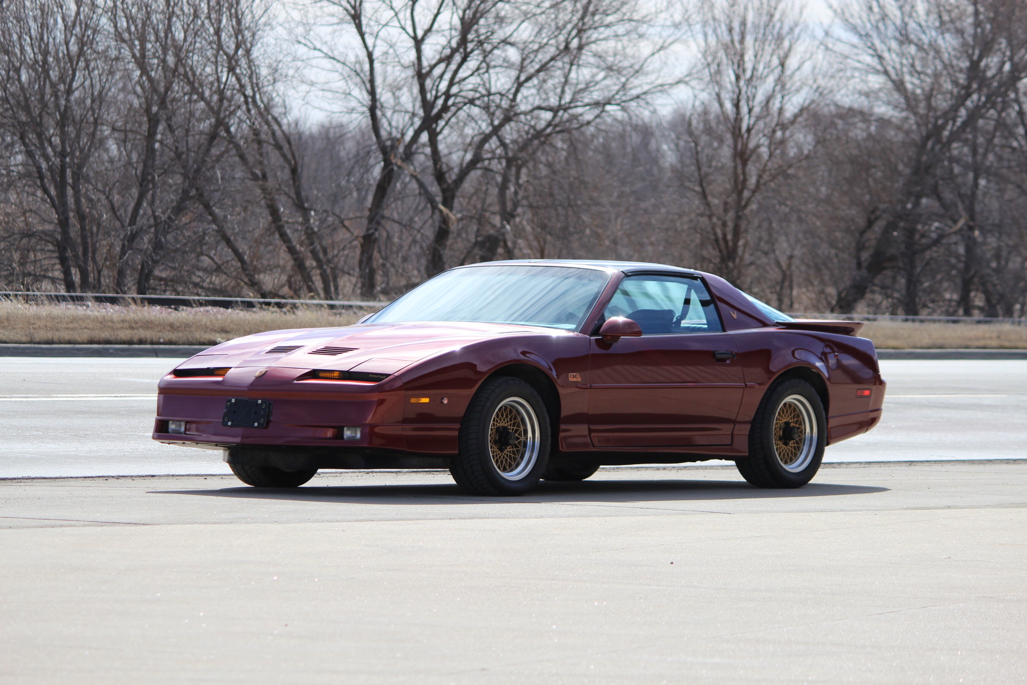 1988 Pontiac Firebird Muscle Cars and Pony Cars for Sale - Classics on ...